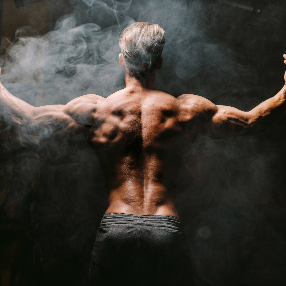 Trainingsplan für einen definierten Körper – badcompany.biz